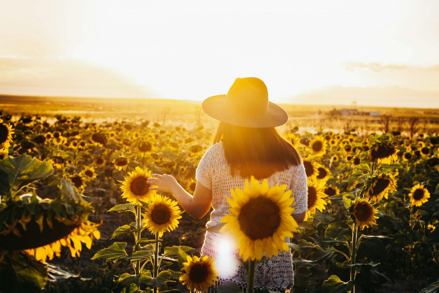 The Ultimate Guide to This Summer’s Best Sunflower Farms | British ...